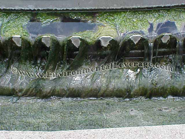 Algae problems and wastewater lagoon solutions